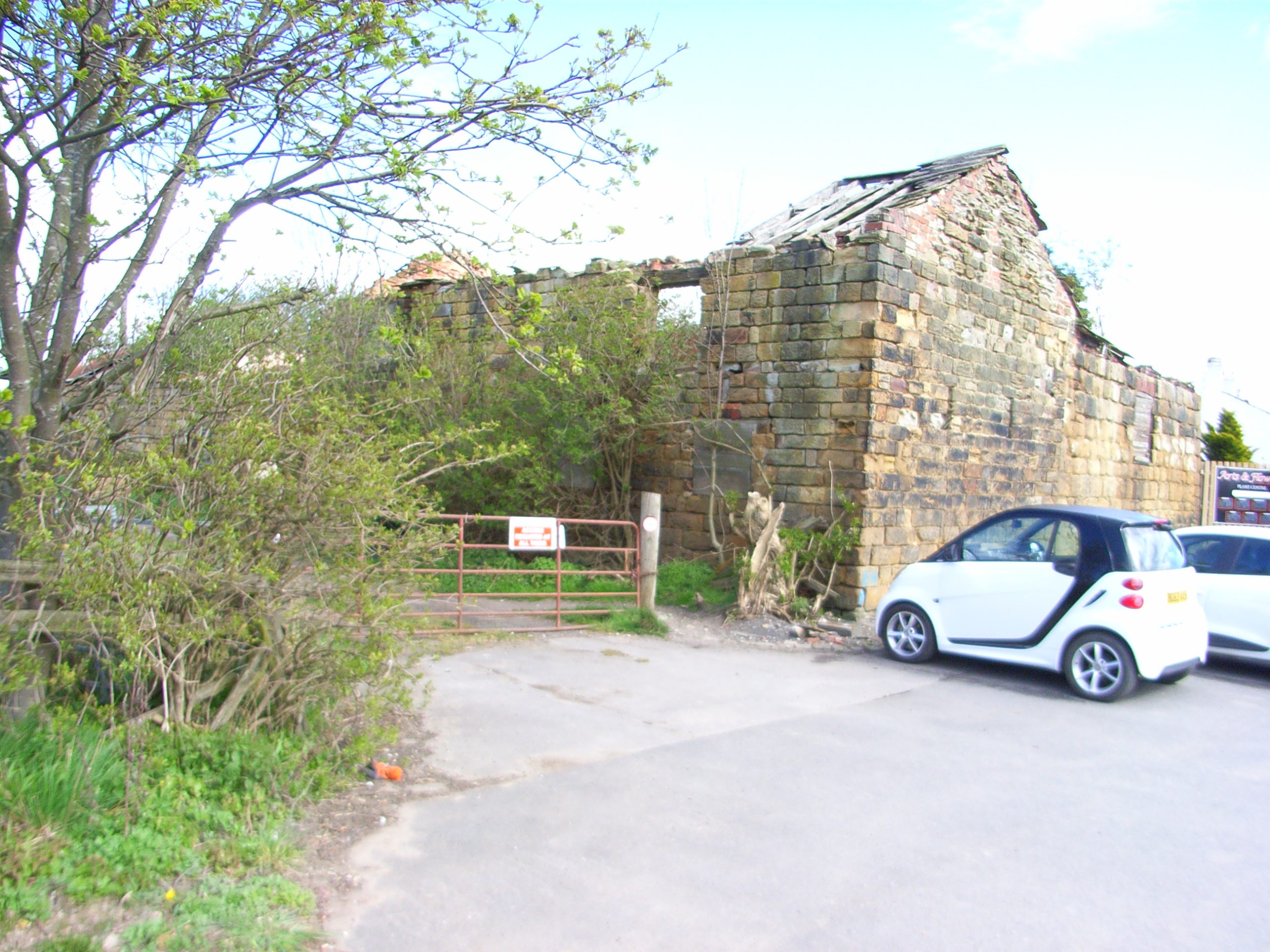 Image 6